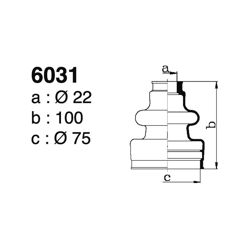 6031.jpg